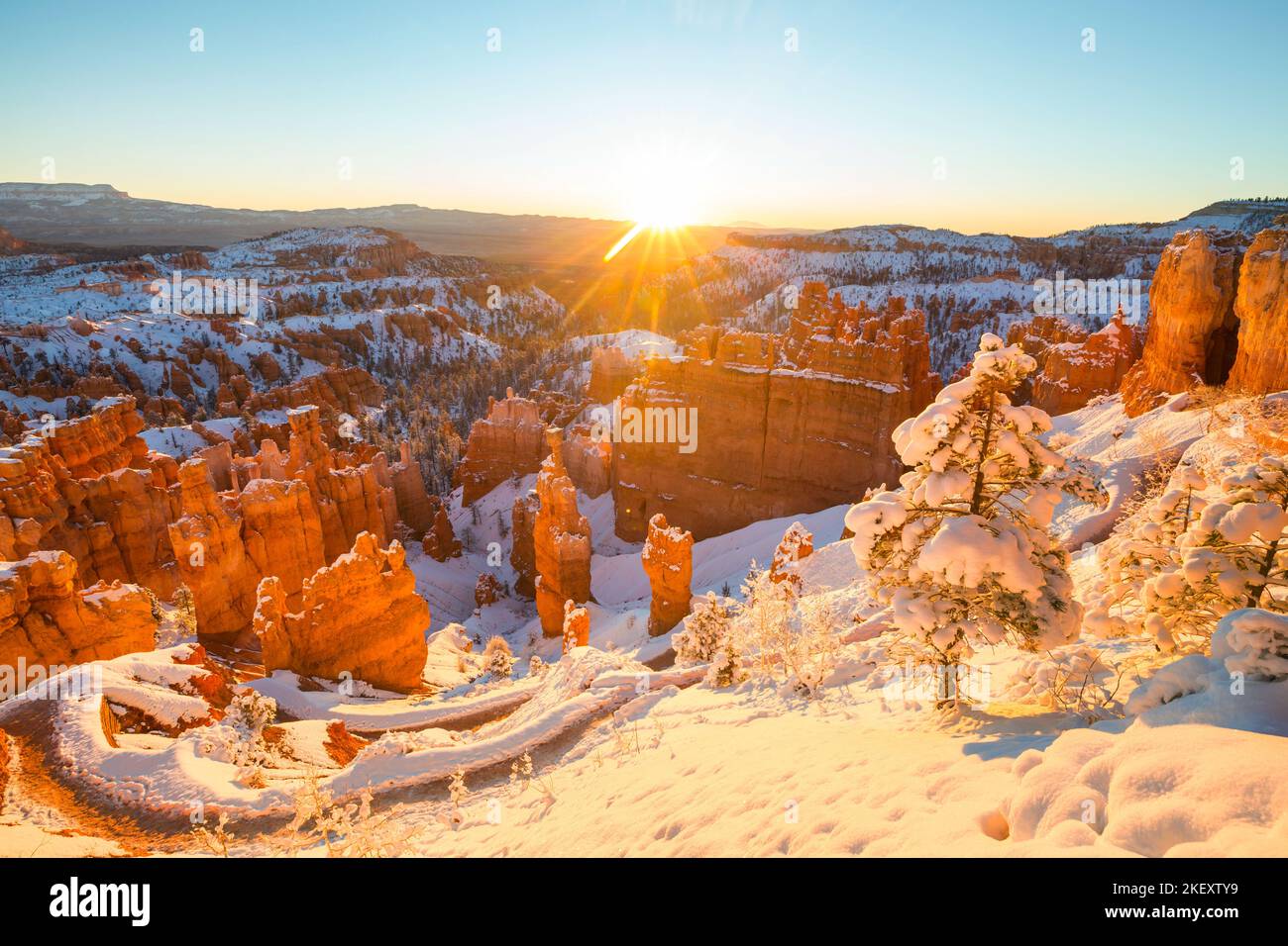 Picturesque colorful pink rocks of the Bryce Canyon National park in ...