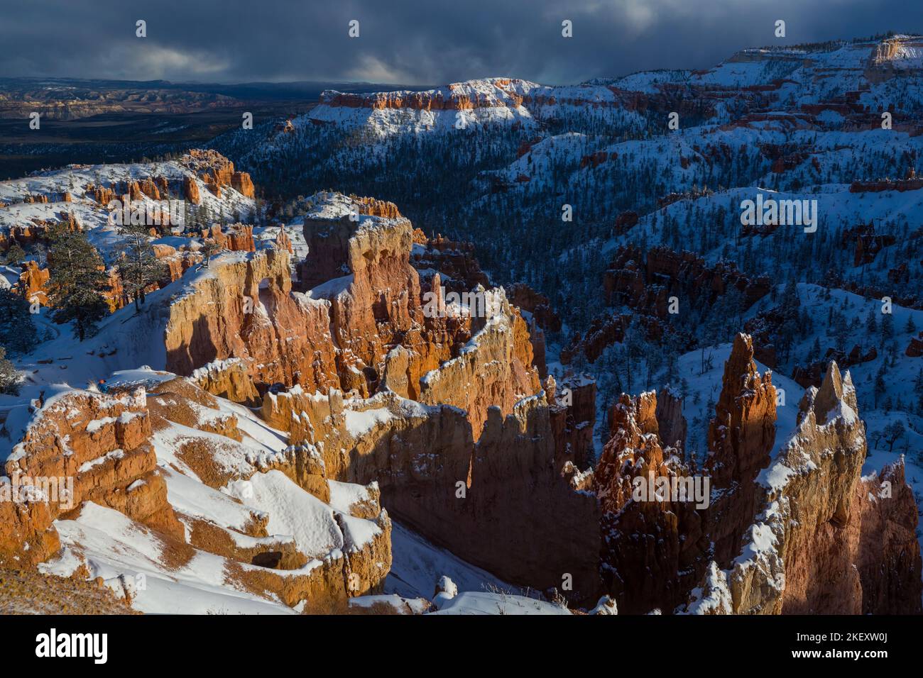 Picturesque colorful pink rocks of the Bryce Canyon National park in ...