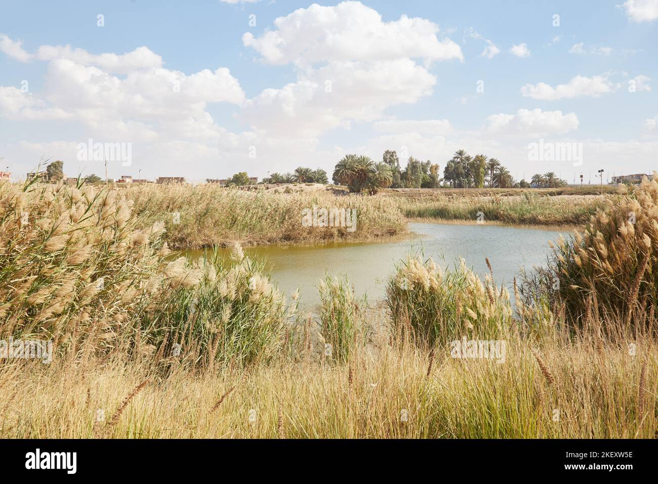 Karnak Temple's Precinct of Mut Stock Photo - Alamy