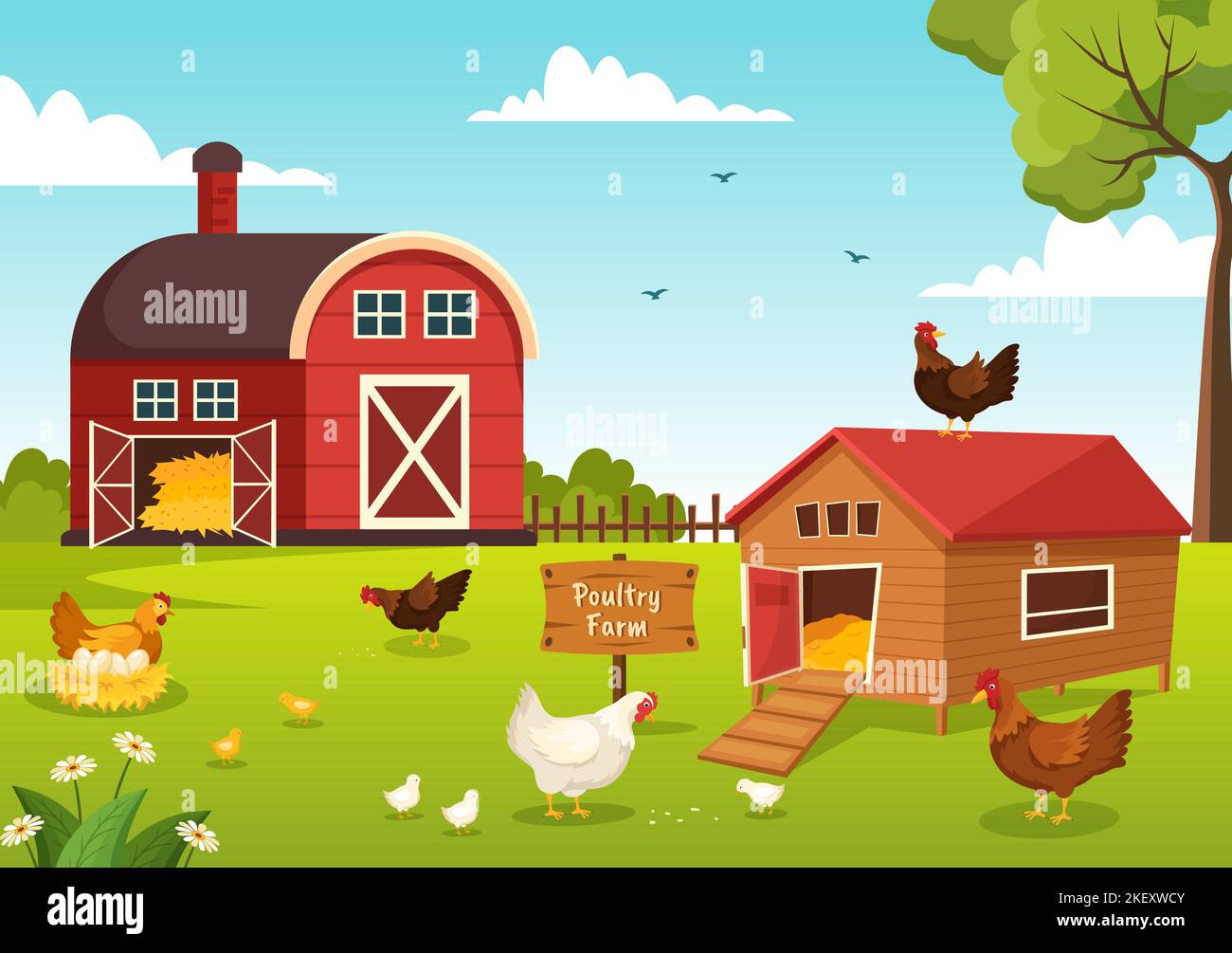 Poultry Farming with Farmer, Cage, Chicken and Egg Farm on Green Field ...