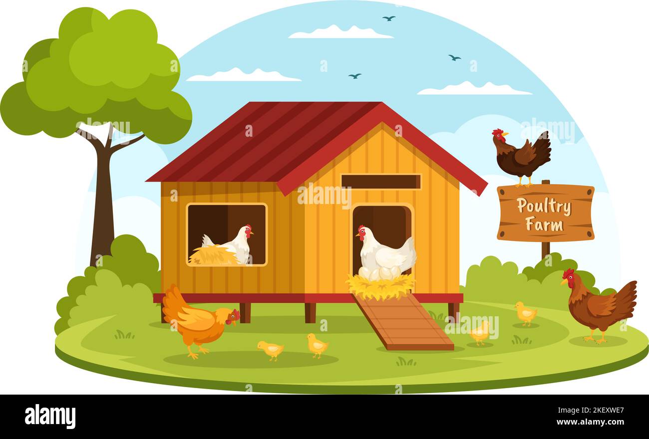 Poultry Farming with Farmer, Cage, Chicken and Egg Farm on Green Field ...
