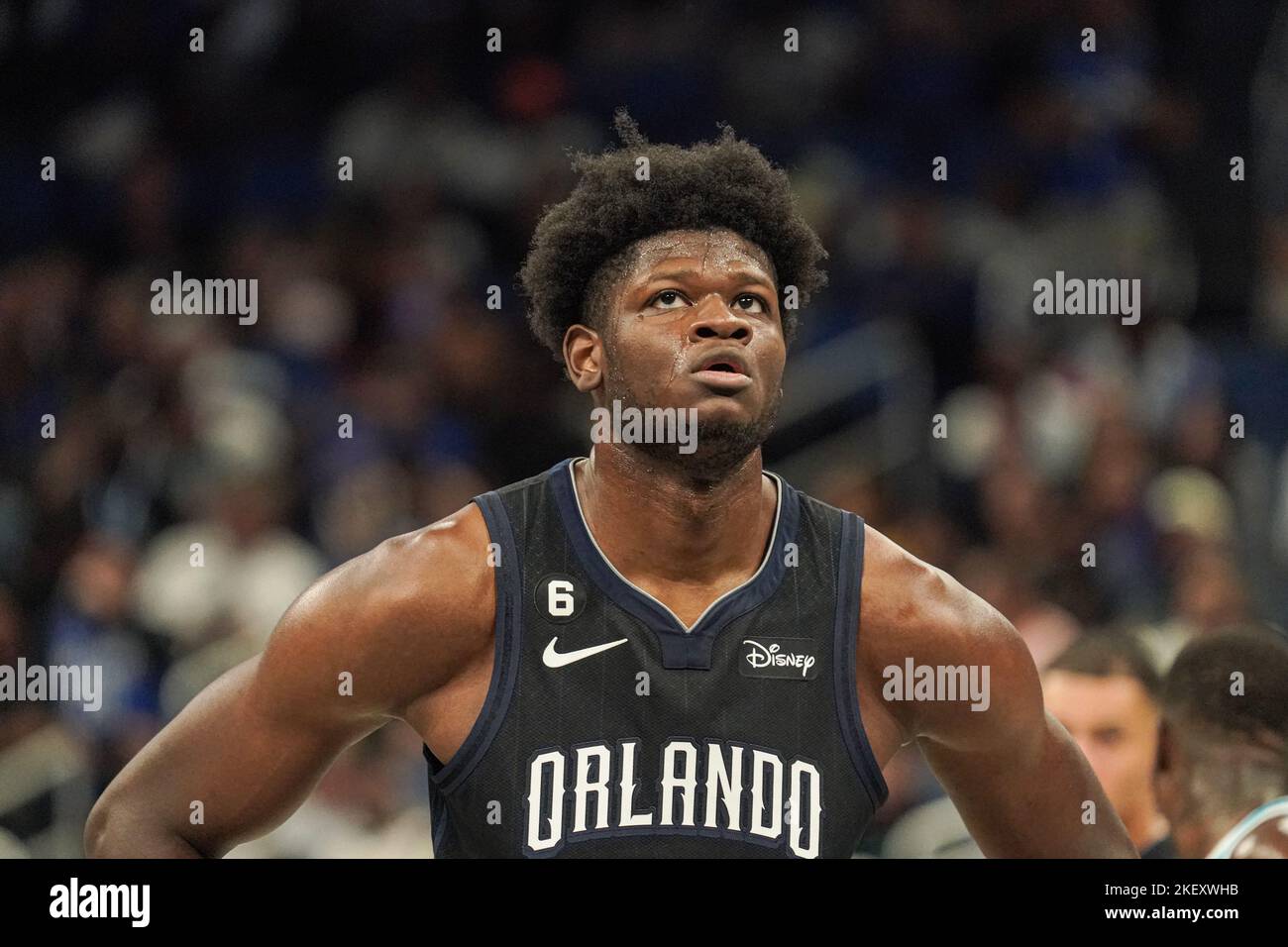 Orlando, Florida, USA, November 14, 2022, Orlando Magic center Mo Bamba ...