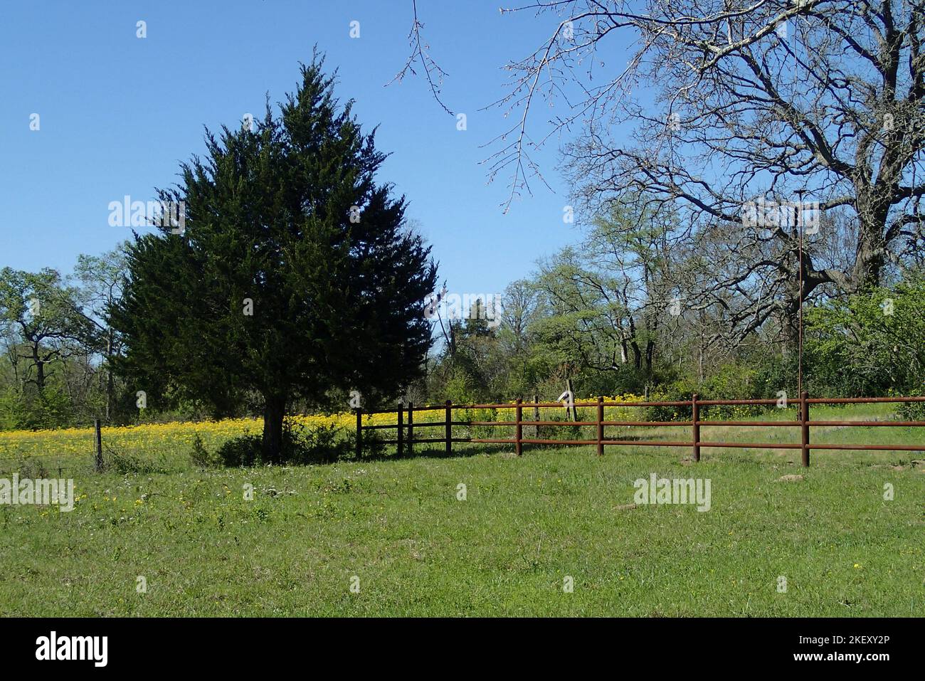 Farm pasture metal fence gate hi-res stock photography and images - Alamy