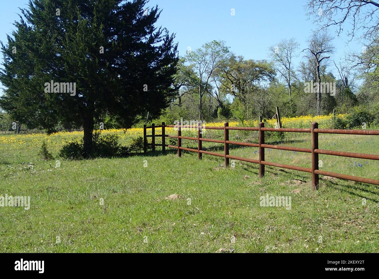 Scenes with Metal Fence Stock Photo - Alamy