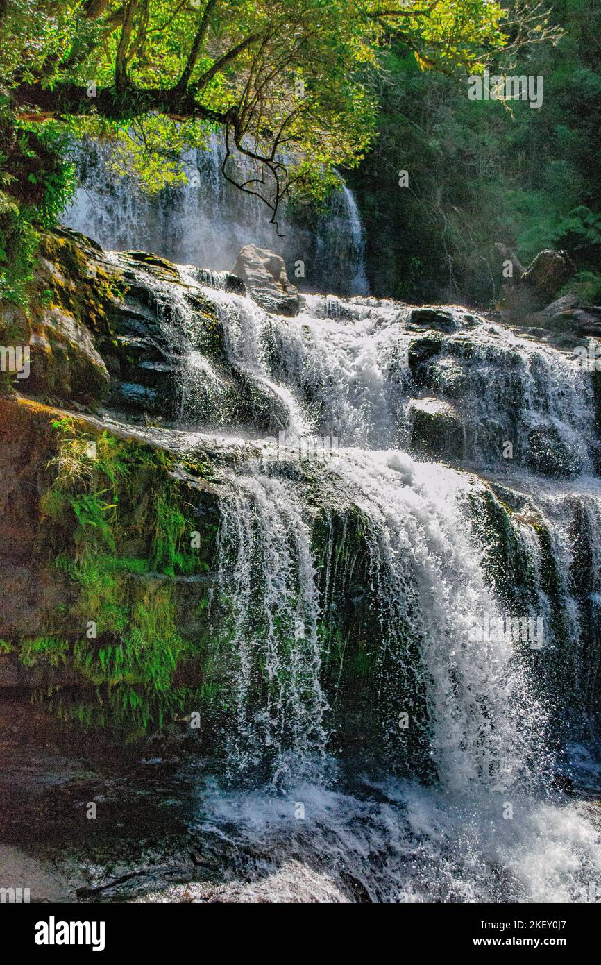 Multi Step Waterfall in Tasmania, Australia Stock Photo - Alamy