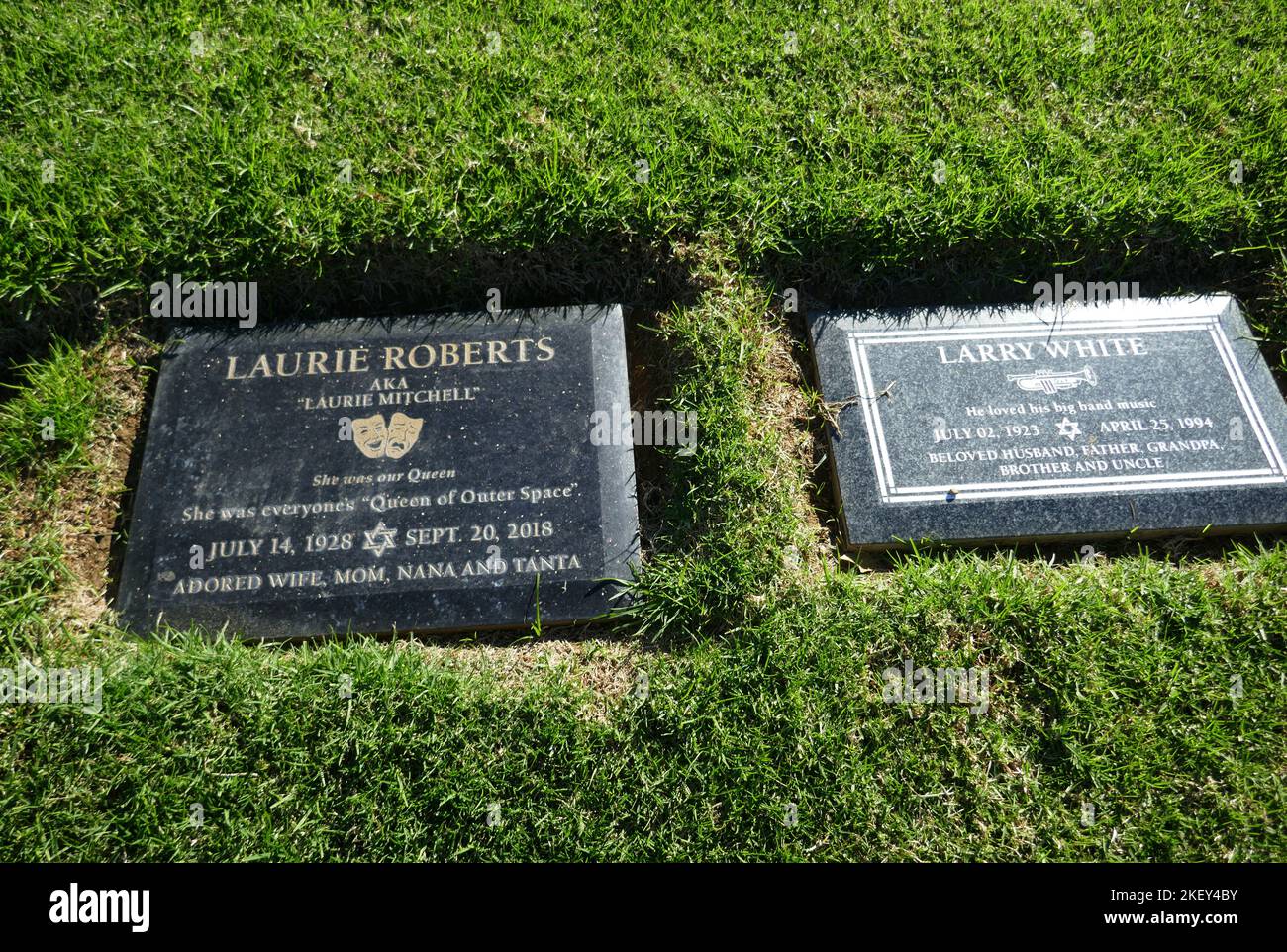 Los Angeles, California, USA 10th November 2022 Actress Laurie Mitchell ...