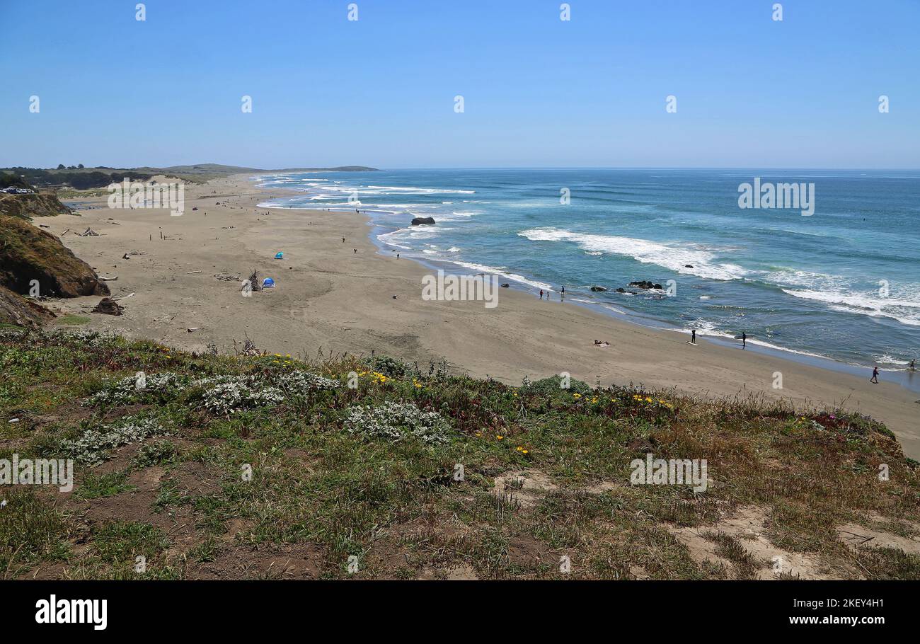 Panorama with Salmon Creek Beach - California Stock Photo - Alamy