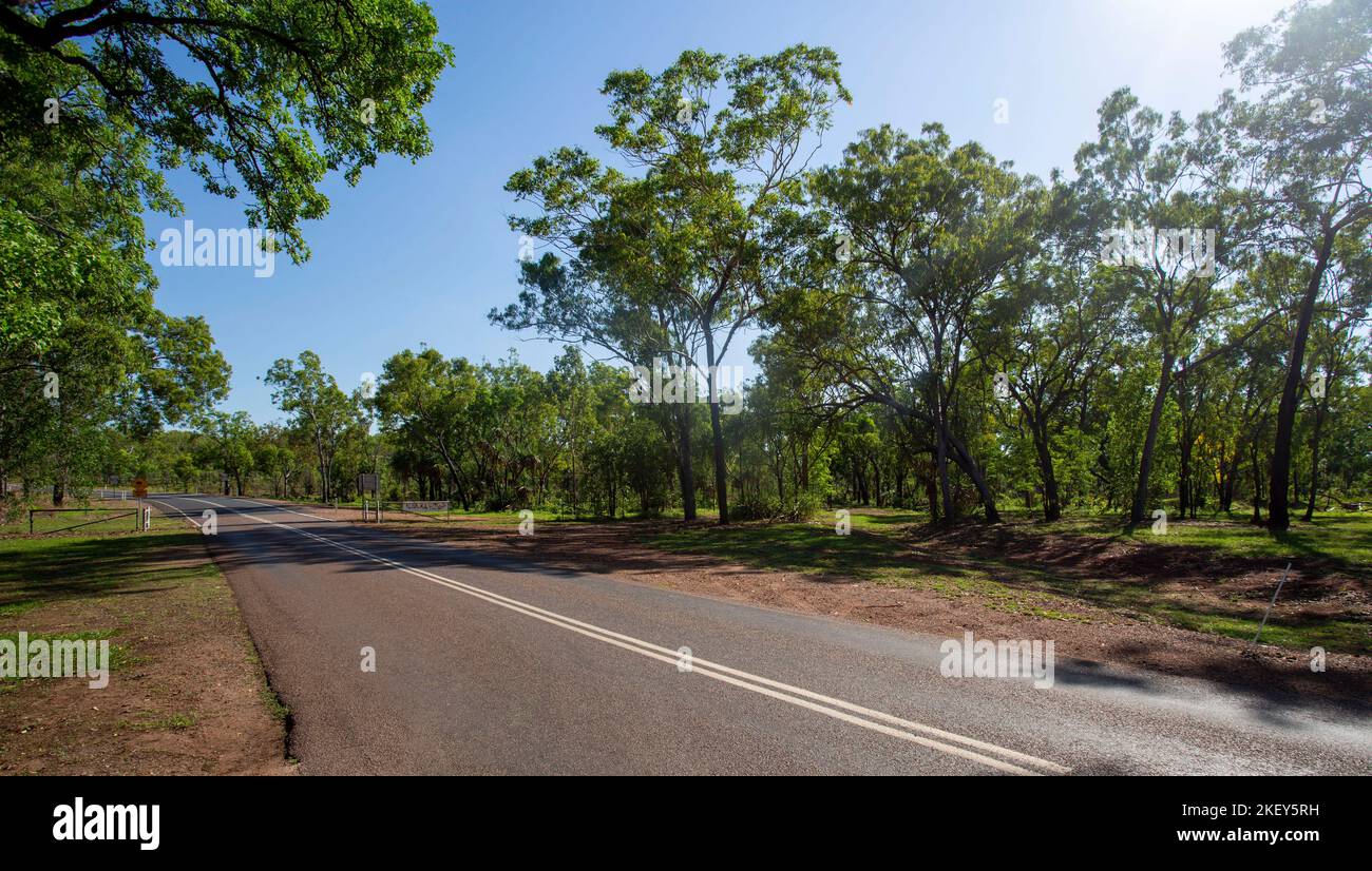 Monsoon forest also called closed forests, are open or partially ...