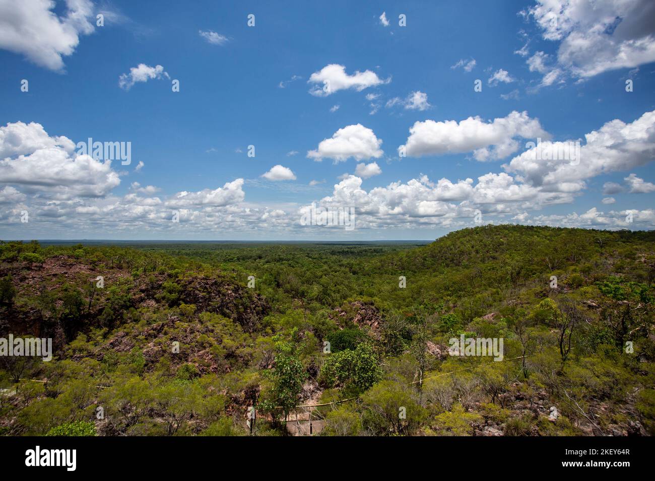 Monsoon forest also called closed forests, are open or partially ...