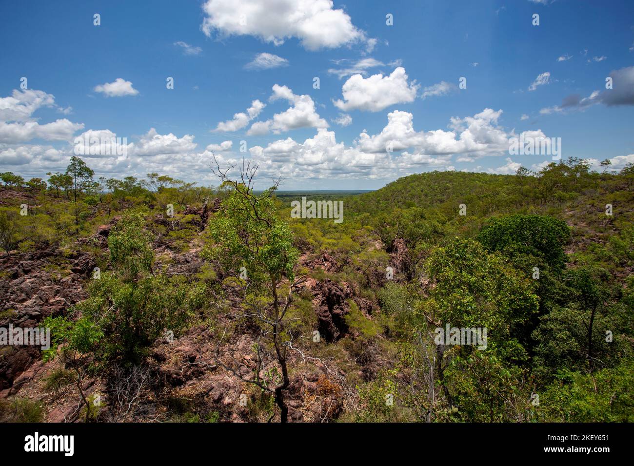 Monsoon forest also called closed forests, are open or partially ...