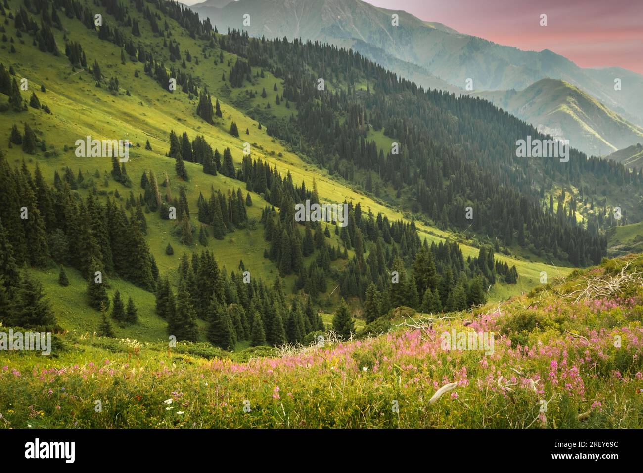 Famous summer tourist hiking road in Almaty mountains - Kimasar Gorge. Nature of central asia ...