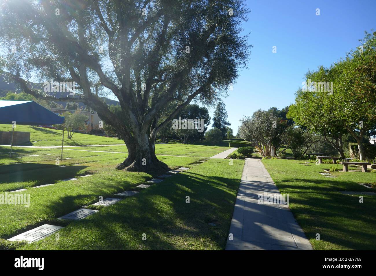 Los Angeles, California, USA 10th November 2022 Actor Lee J. Cobb's Grave in Garden of Shemot at ...