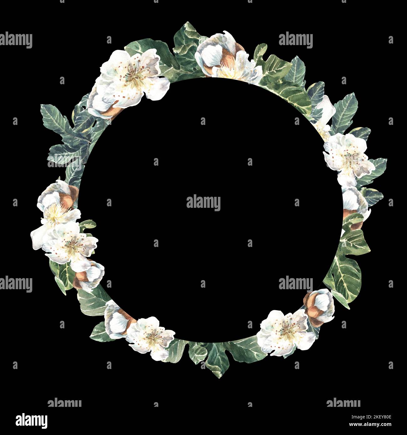 Round arrangement of fig flowers. Bloom. Watercolor illustration on a ...