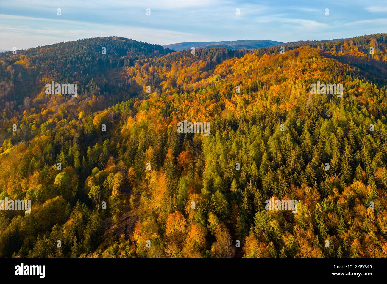Colourful autumn forest of Jizera Mountains. Aerial view from drone ...