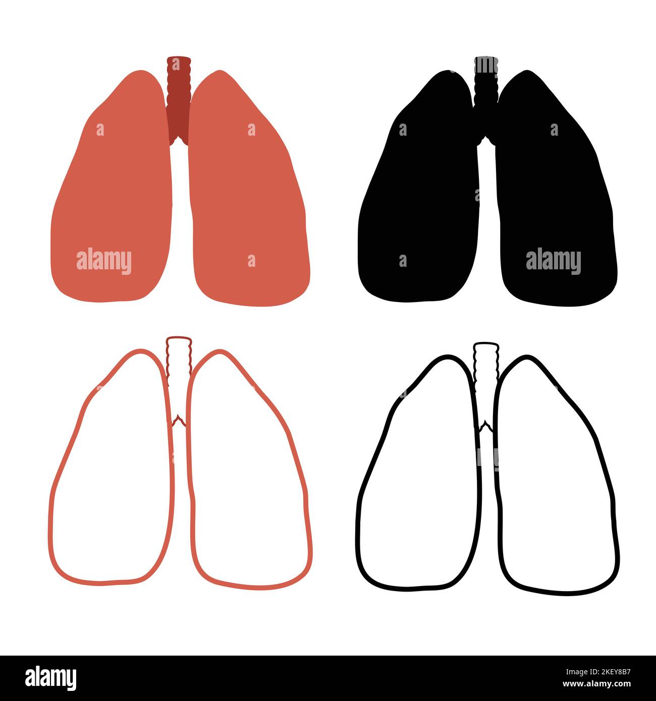 Vector set of simple human lungs isolated from background. Collection ...
