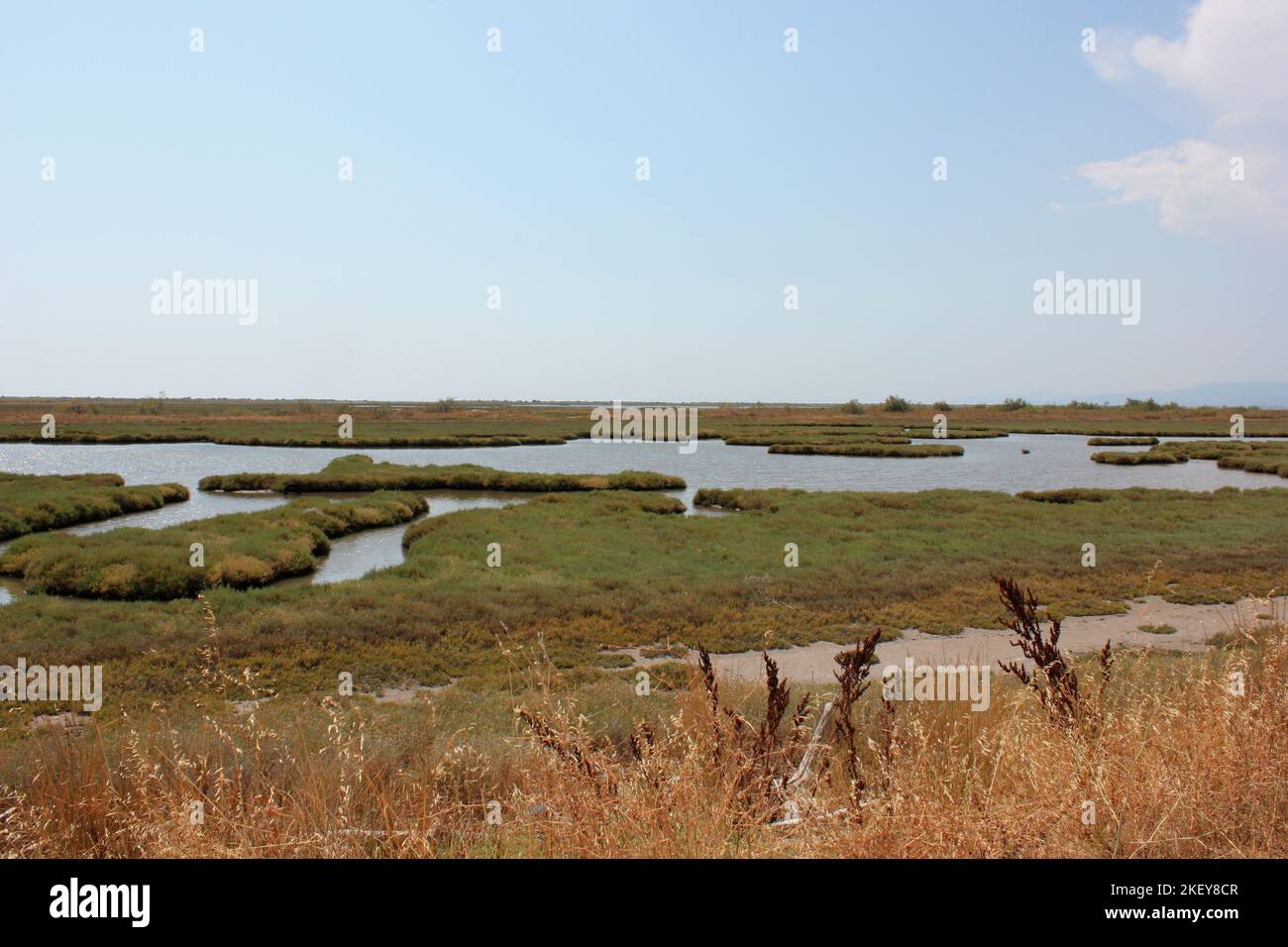 Delta Evros National Park, Evros Thraki Greece Stock Photo - Alamy