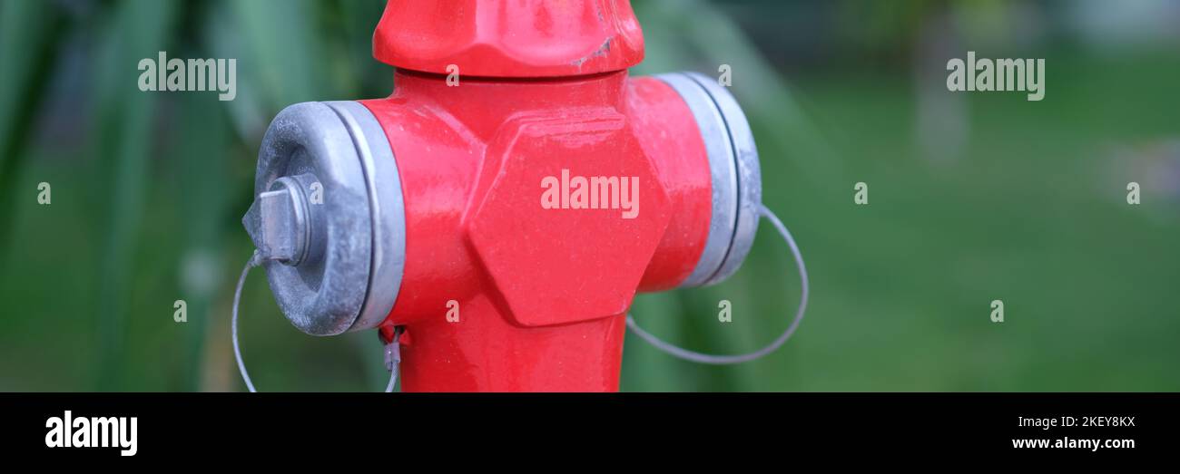 Red fire hydrant standing in park closeup Stock Photo - Alamy
