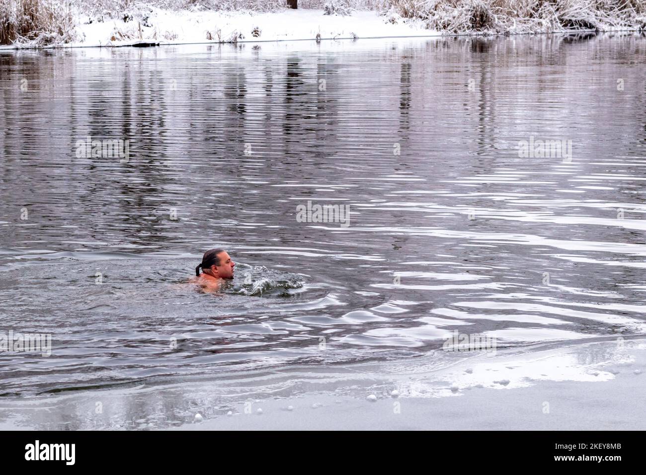A middle-aged man bathes and swims in a winter river against the ...