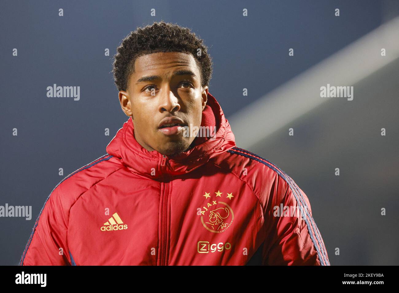 Silvano vos hi-res stock photography and images - Alamy