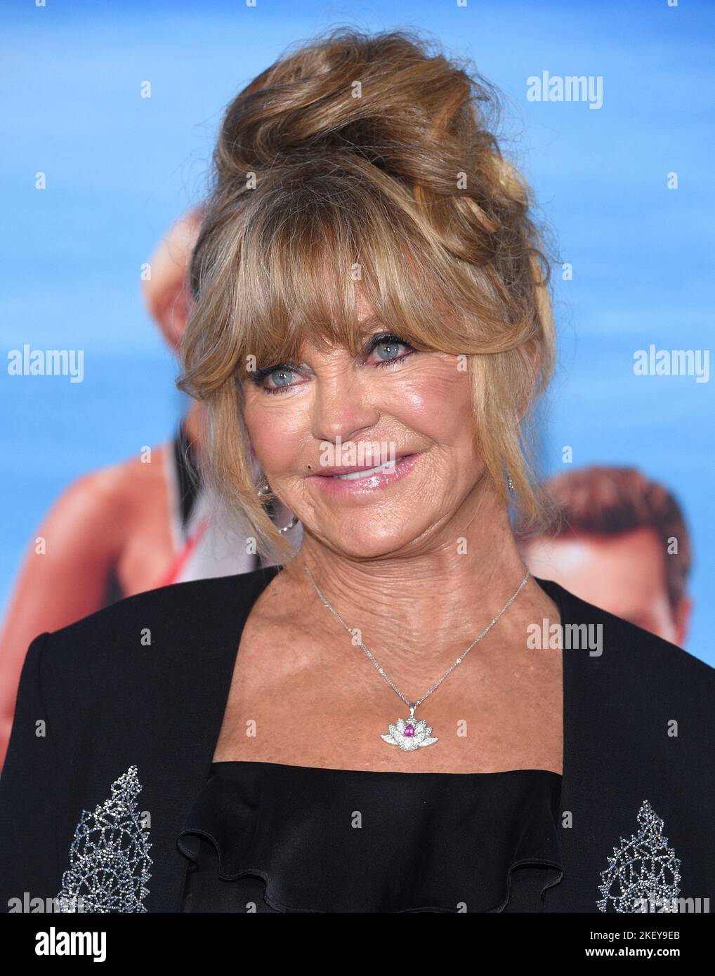 Los Angeles, CA on November 14, 2022. Goldie Hawn arriving to the US ...
