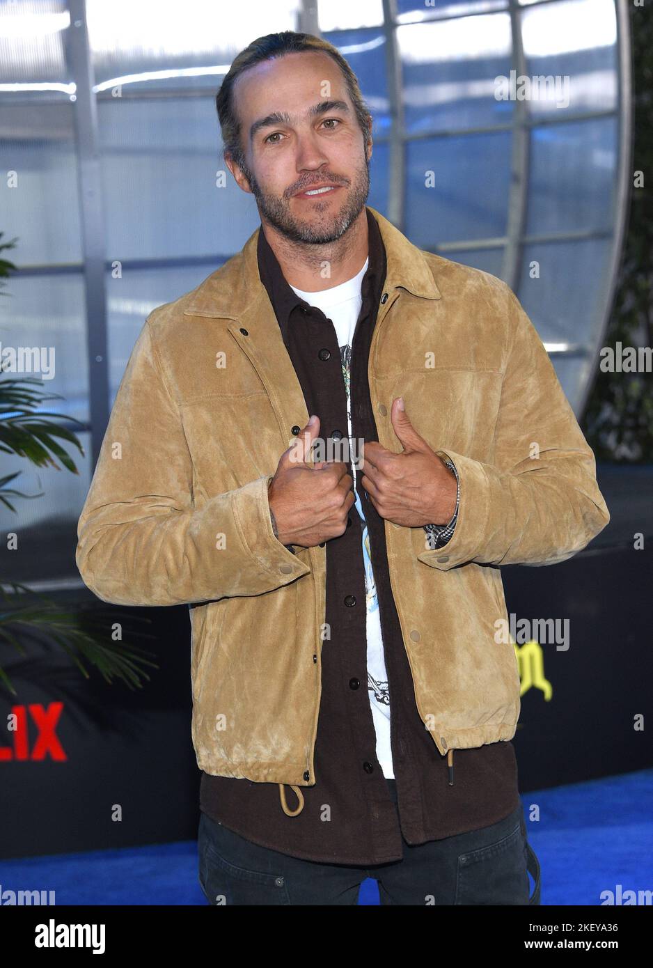 Los Angeles, CA on November 14, 2022. Pete Wentz arriving to the US ...