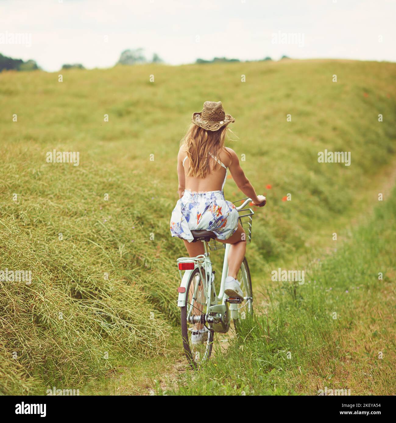 Adult life cycle hi-res stock photography and images - Alamy