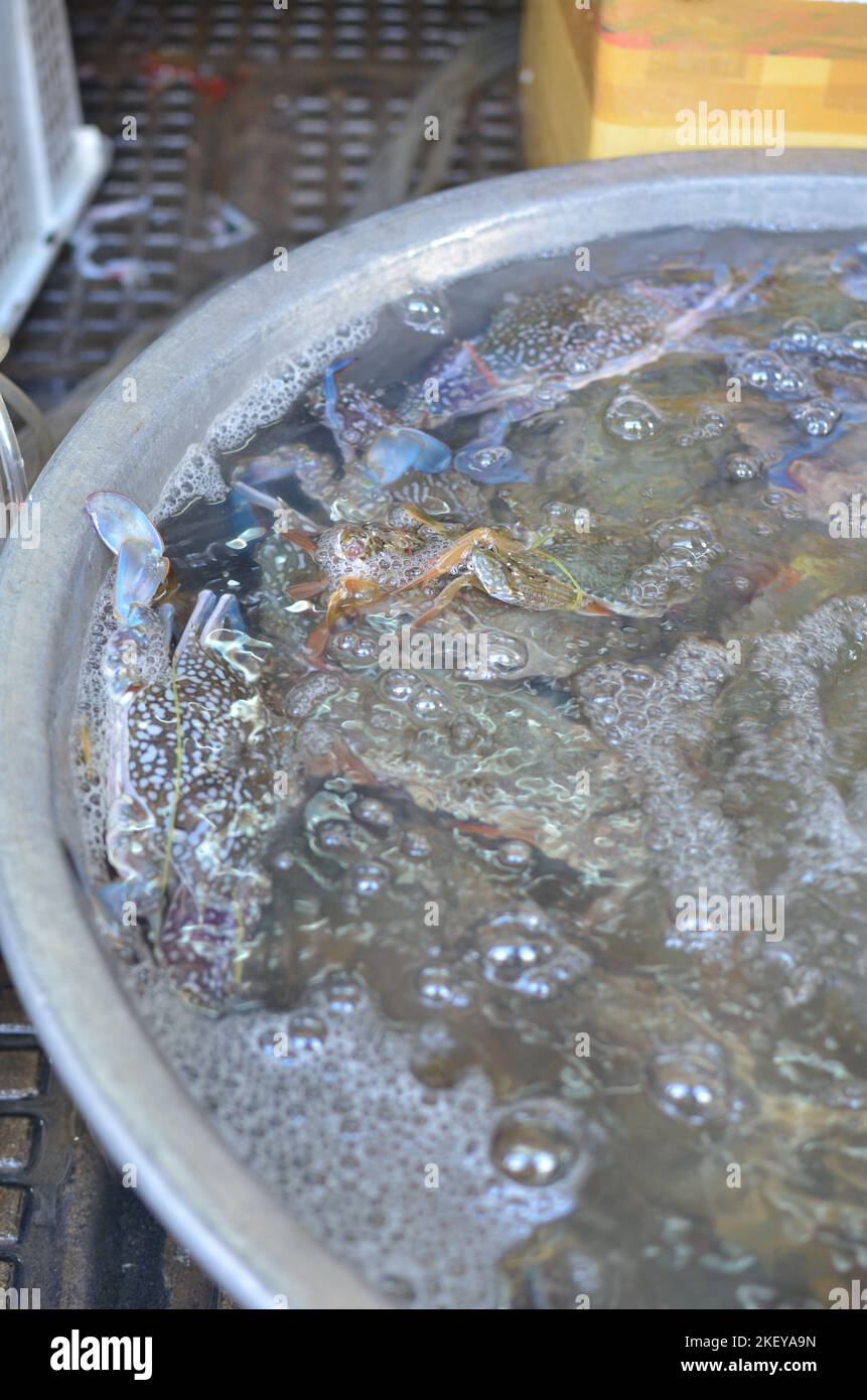alife crabs fresh at Night Market in Cambodia colorfull asian food ...