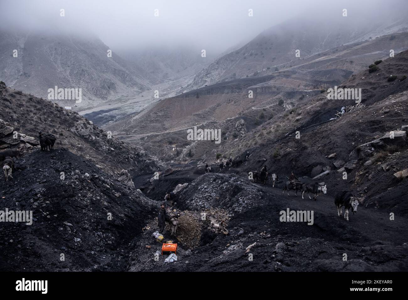 Donkeys mining hi-res stock photography and images - Alamy