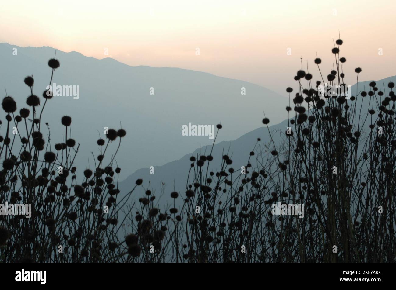 Andes Sunset panorama Backgrounf Grass colorfull panorama Stock Photo ...