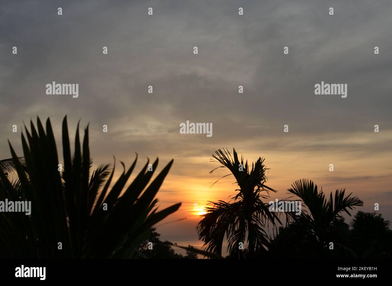 Sunset with palms thailand colorfull coast tropical Stock Photo - Alamy