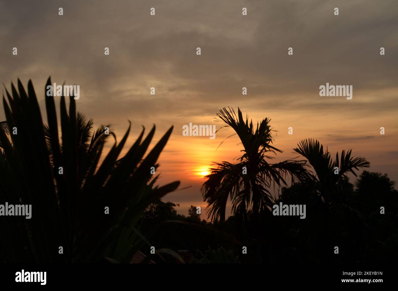 Sunset with palms thailand colorfull coast tropical Stock Photo - Alamy