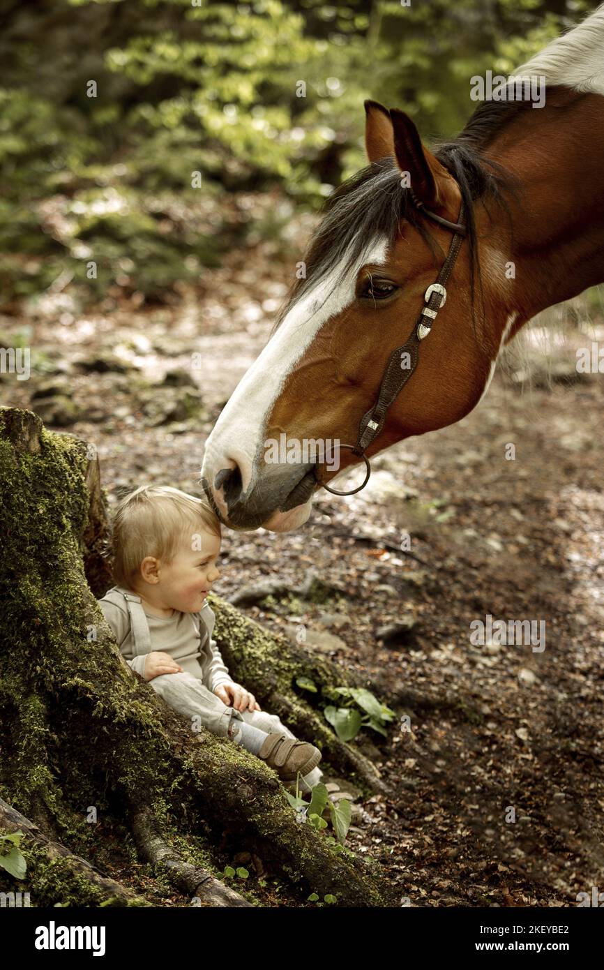 child and pony Stock Photo - Alamy