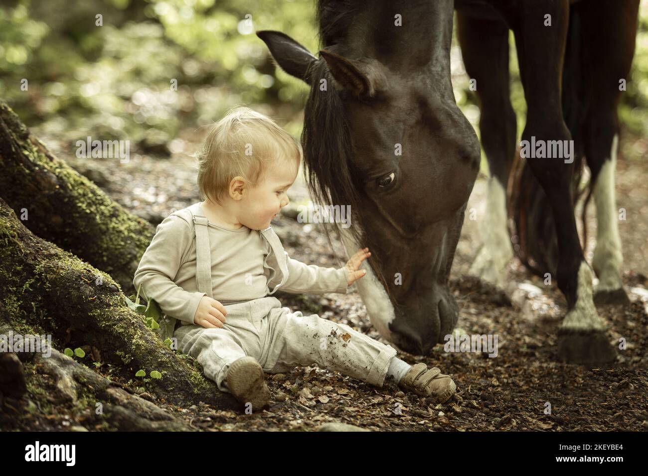 child and pony Stock Photo - Alamy