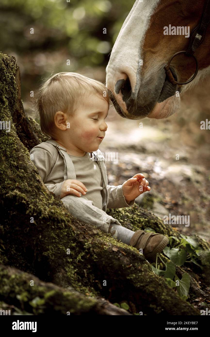 child and pony Stock Photo - Alamy