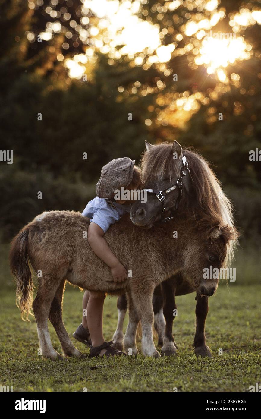 boy and ponies Stock Photo - Alamy