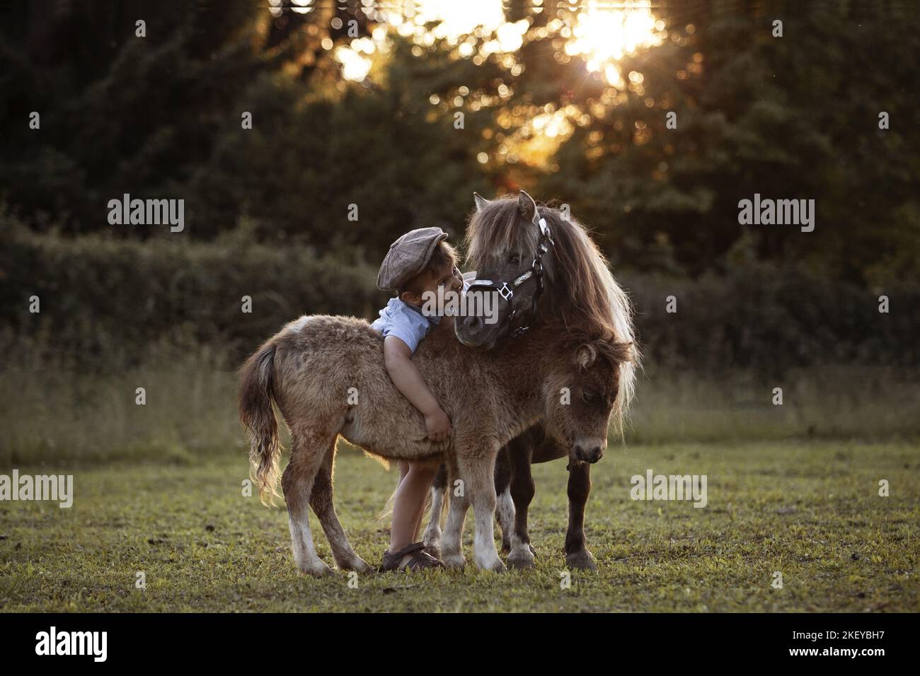 boy and ponies Stock Photo - Alamy