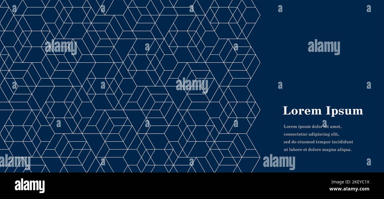 abstract navy white hexagon, geometric texture background, polygon ...