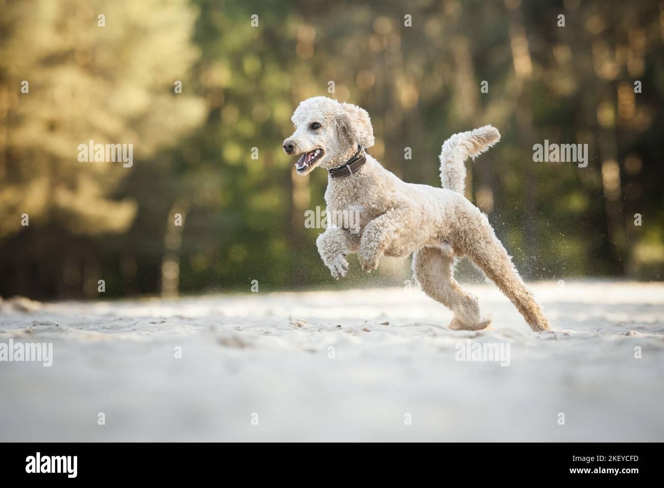 The giant leaps hi-res stock photography and images - Alamy