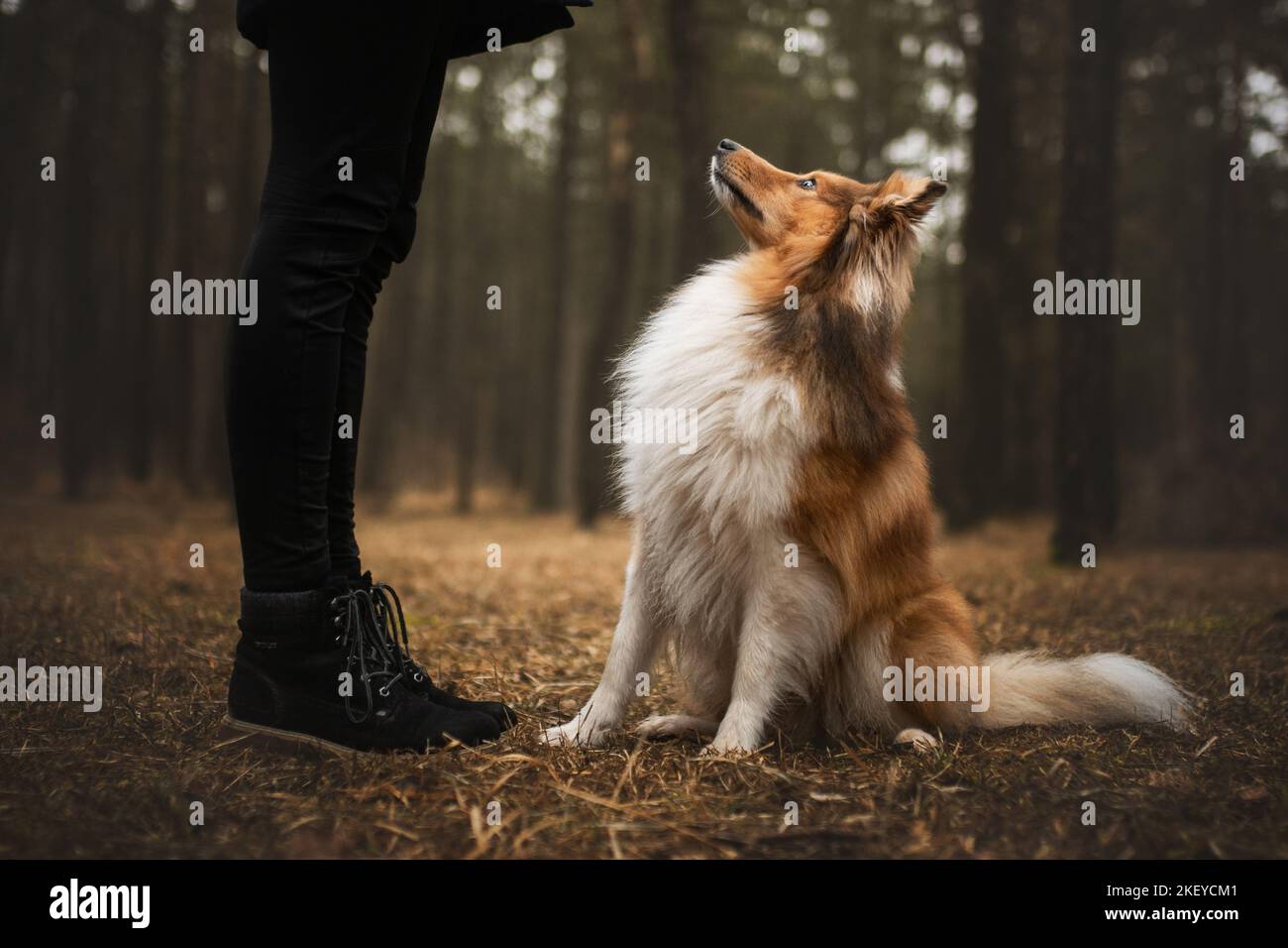 Sitting peoples legs hi-res stock photography and images - Alamy