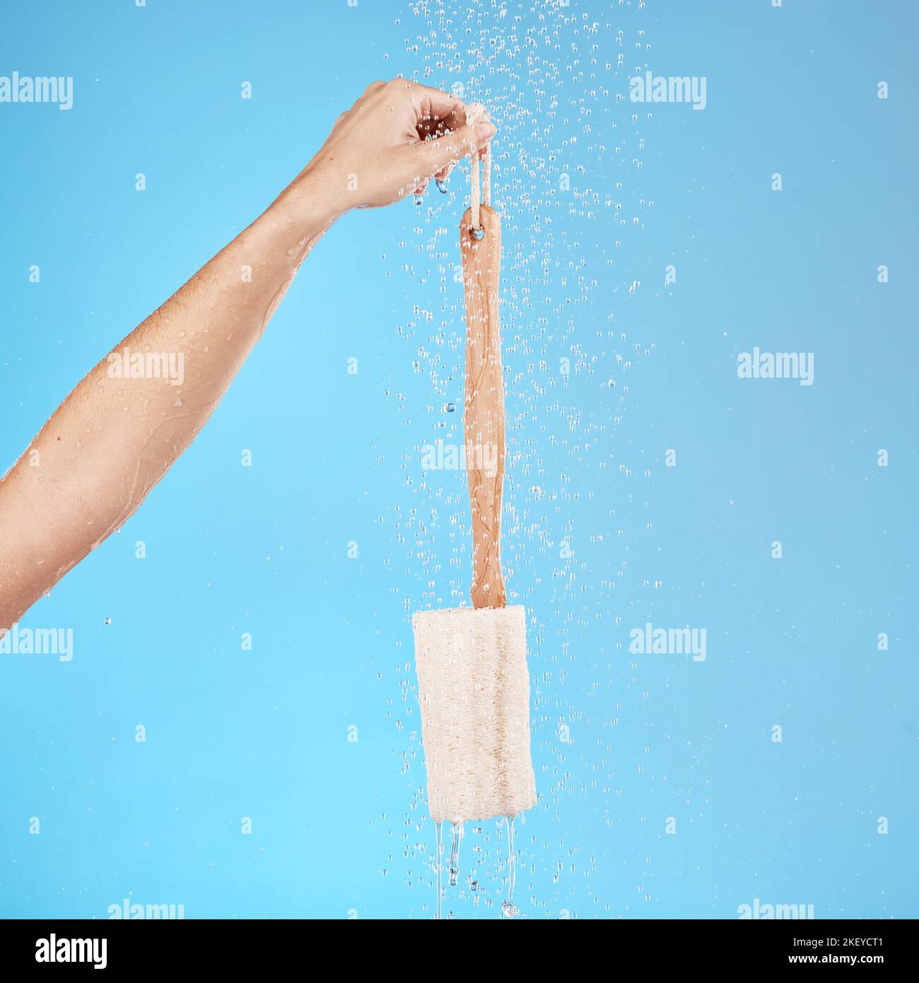 Shower, back brush and body loofah of cleaning, skincare massage or ...