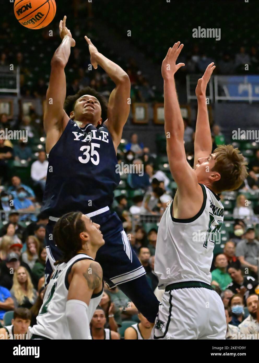 Yale Bulldogs Basketball