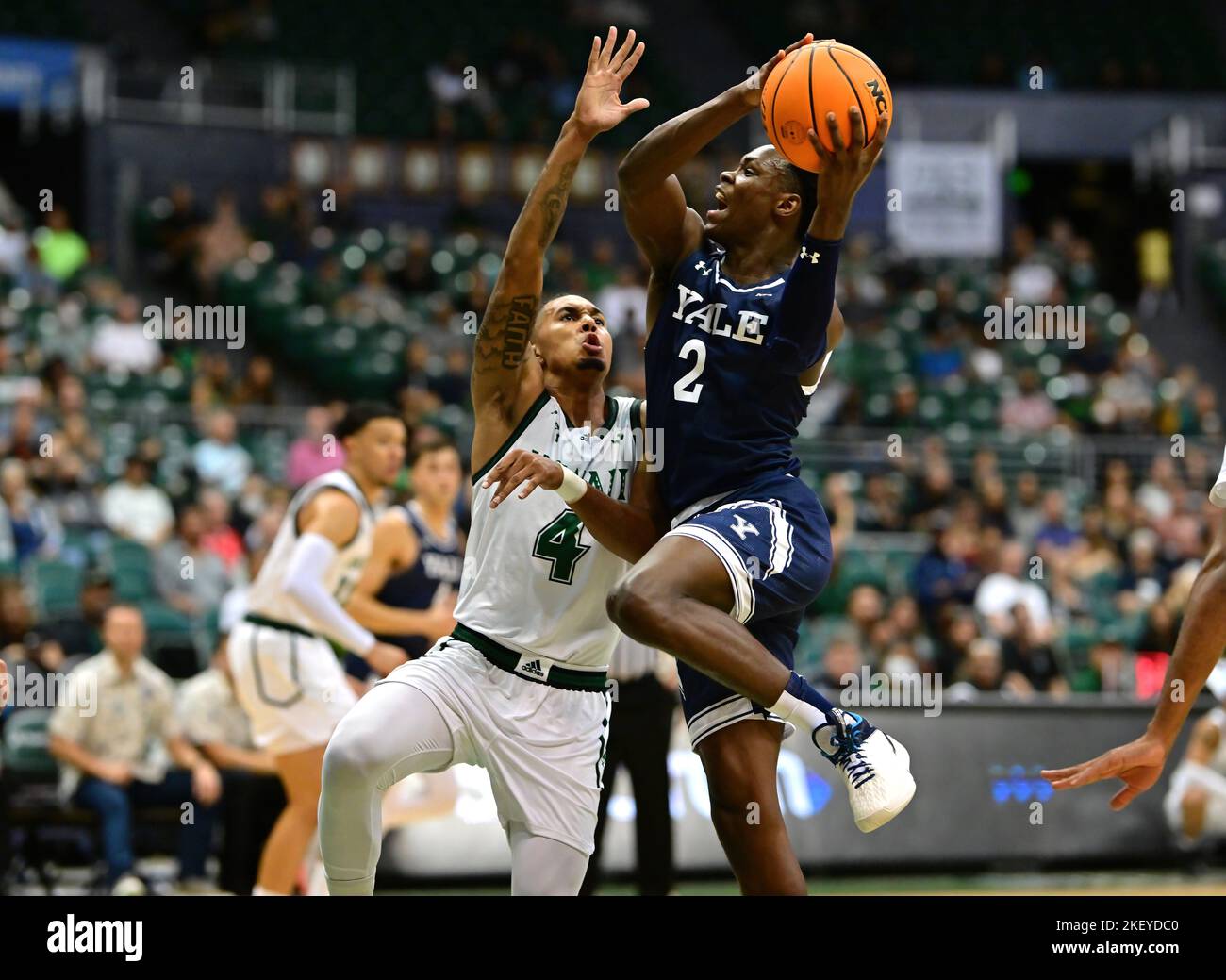Yale Bulldogs Basketball