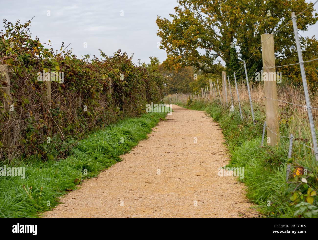 Footpath along the Bure Valley Railway in the Norfolk coutnryside Stock ...