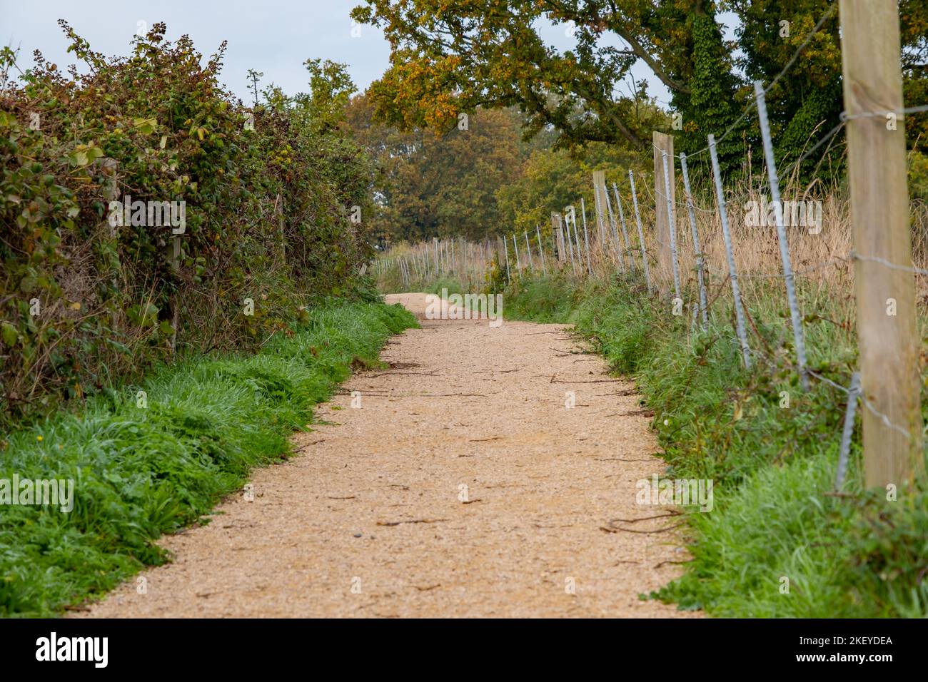44. Rural path in the countryside in the autumn months Stock Photo - Alamy