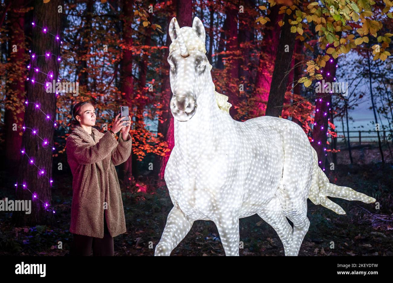 Poppy Wood takes a photograph at the Enchanted Forest Winter ...