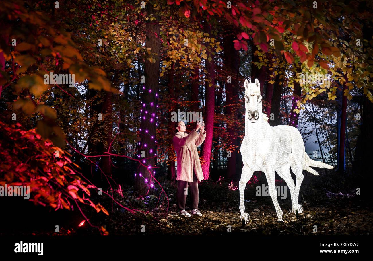 Poppy Wood takes a photograph at the Enchanted Forest Winter ...