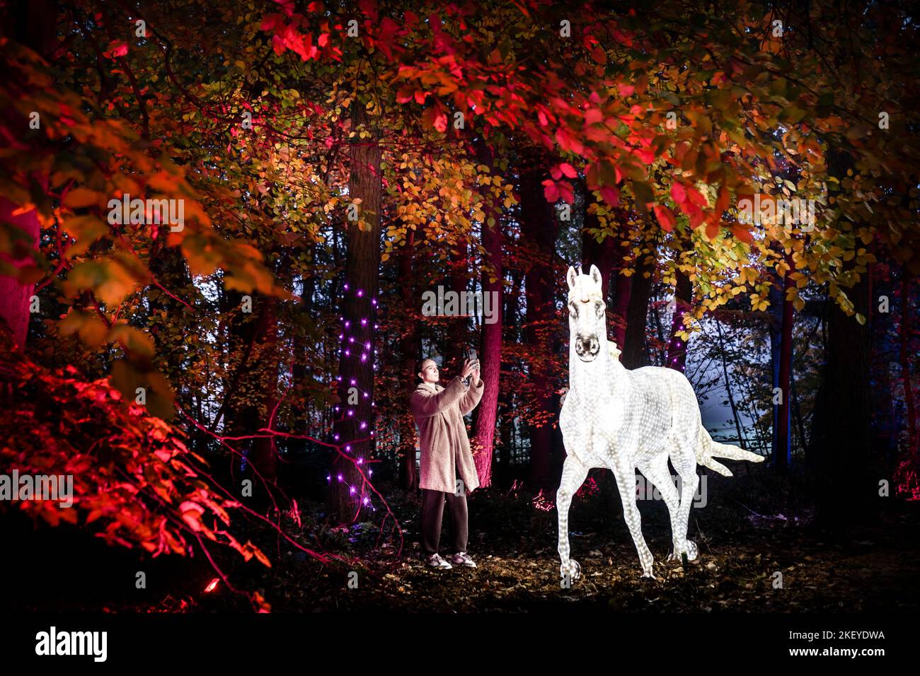 Poppy Wood takes a photograph at the Enchanted Forest Winter ...