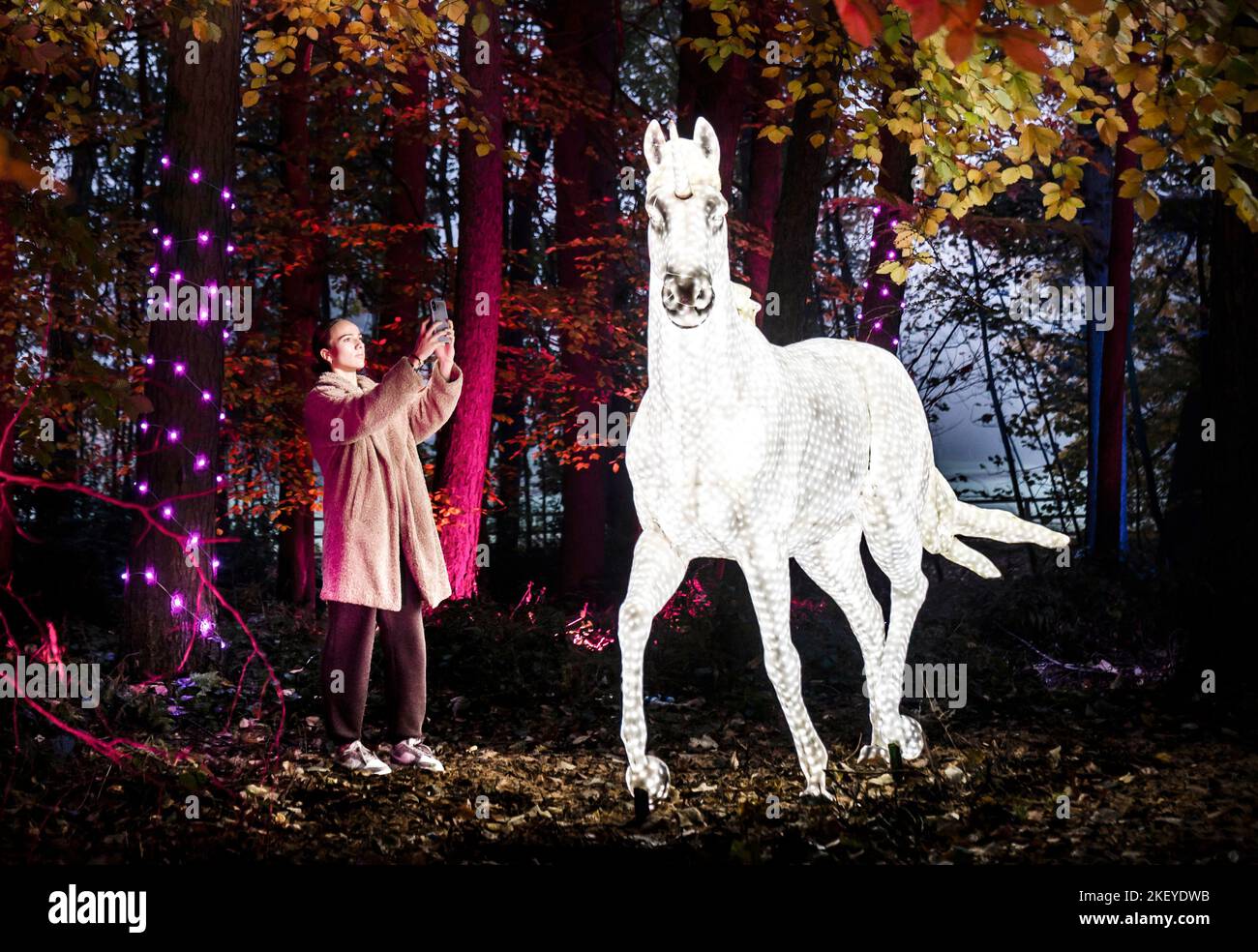 Poppy Wood takes a photograph at the Enchanted Forest Winter ...