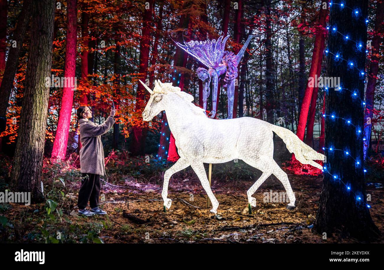 Poppy Wood takes a photograph at the Enchanted Forest Winter ...