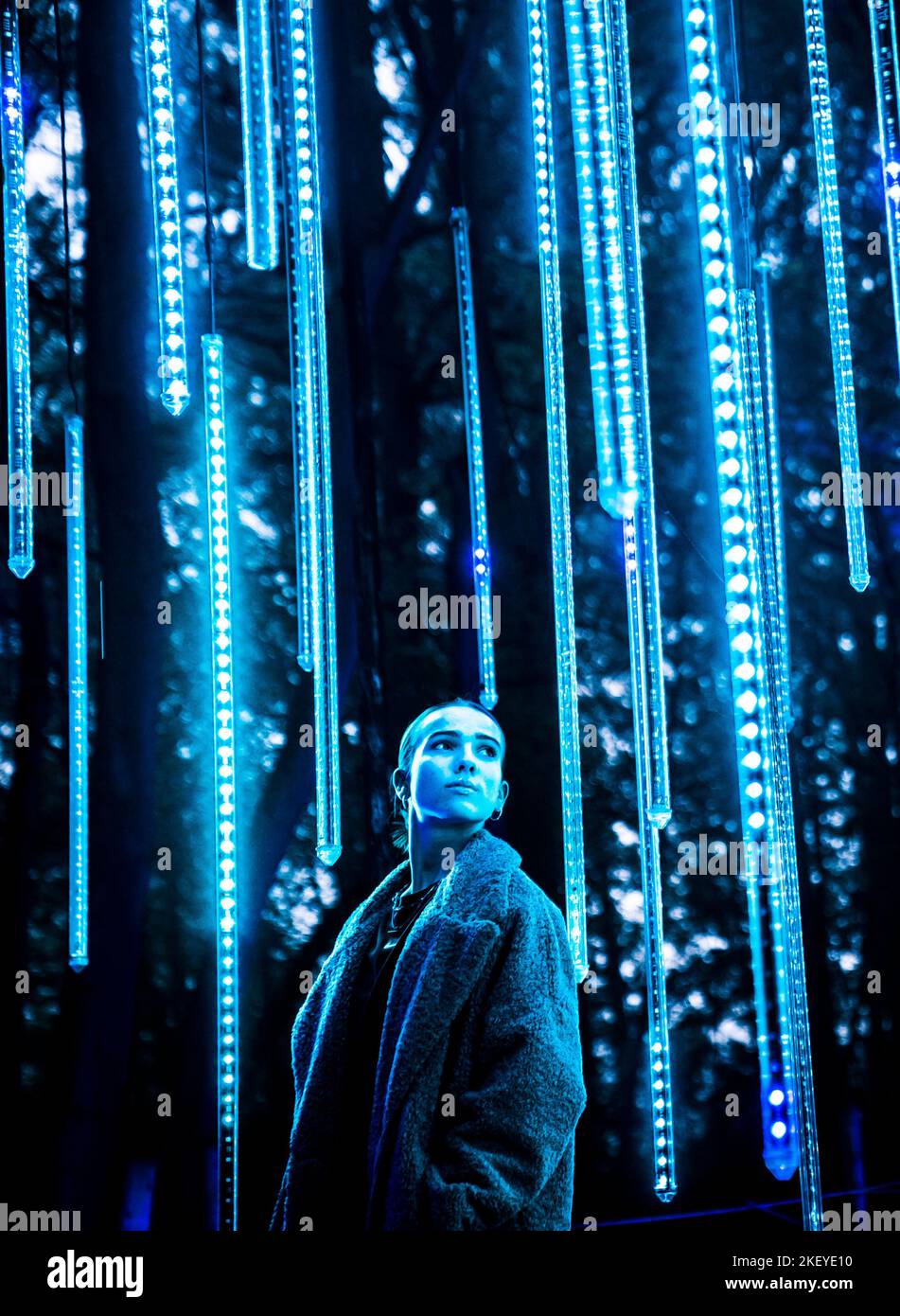 Poppy Wood looks at an installation that forms part of the Enchanted ...